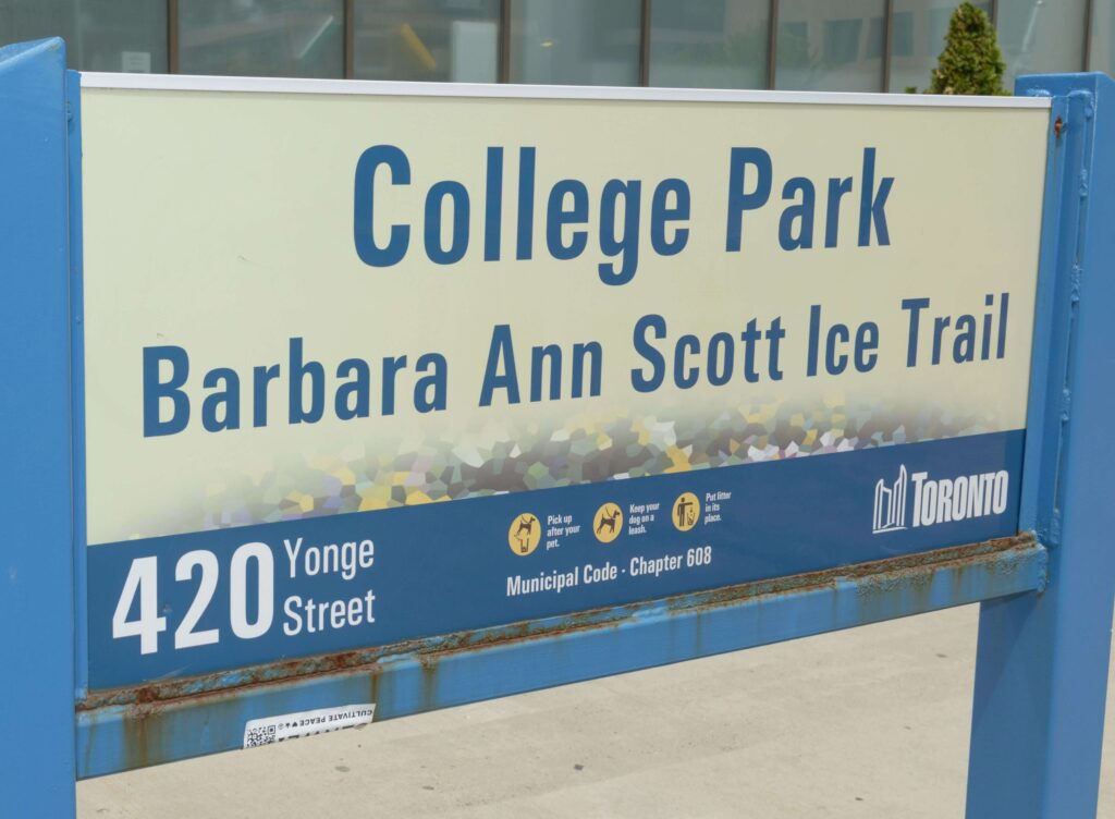 Winter on Ice: Best Places to Skate in Toronto